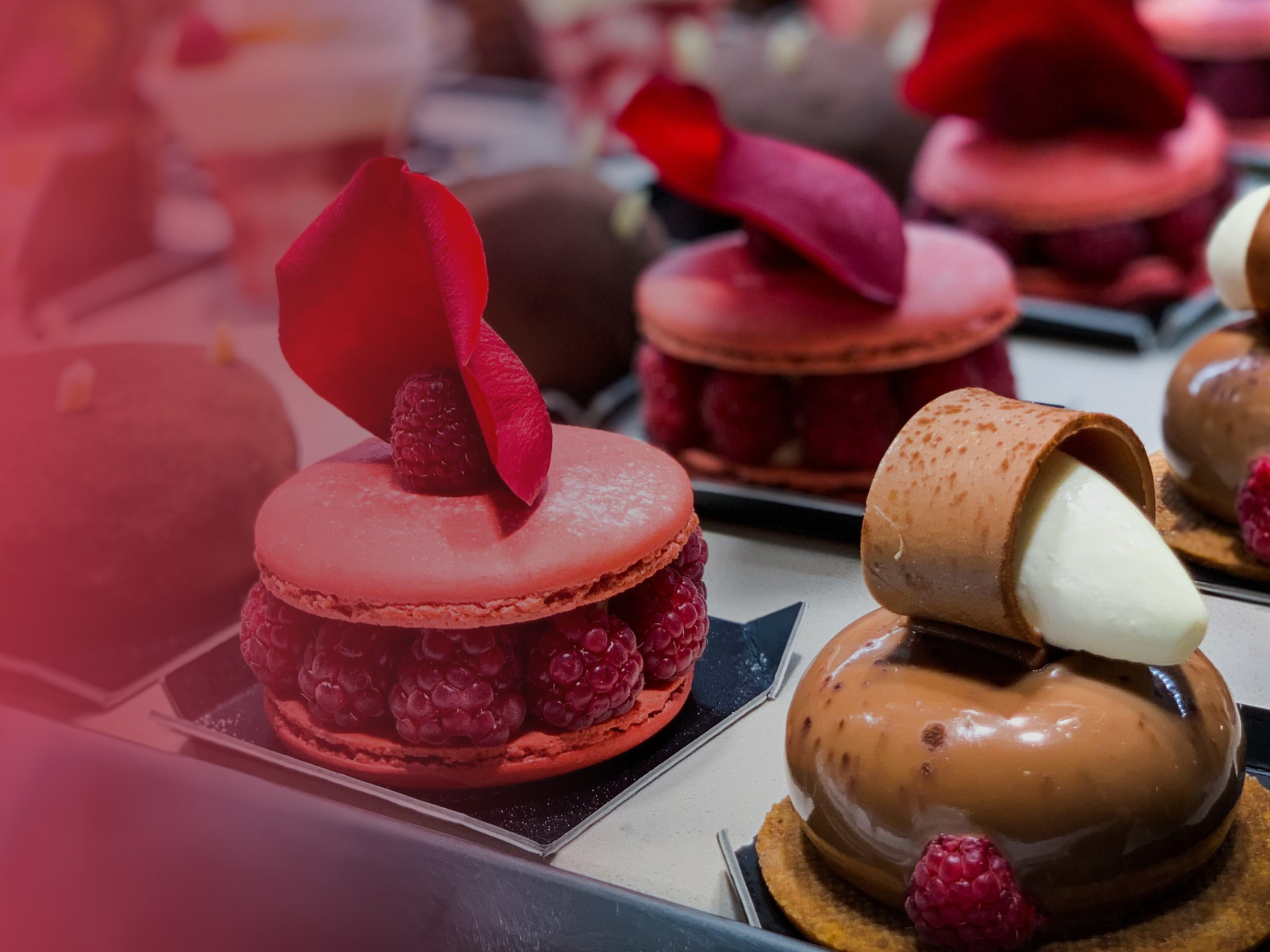 SIGEP WORLD | Discover the exhibition